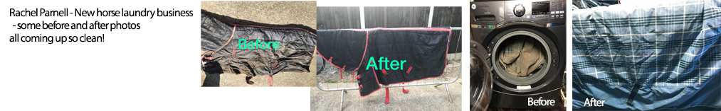 Cater-Wash CK8518 18kg Equestrian Washing Machine - Caterkwik Ireland